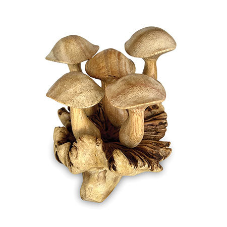 5 Wavy Cap Mushrooms – Driftwood Living UK
